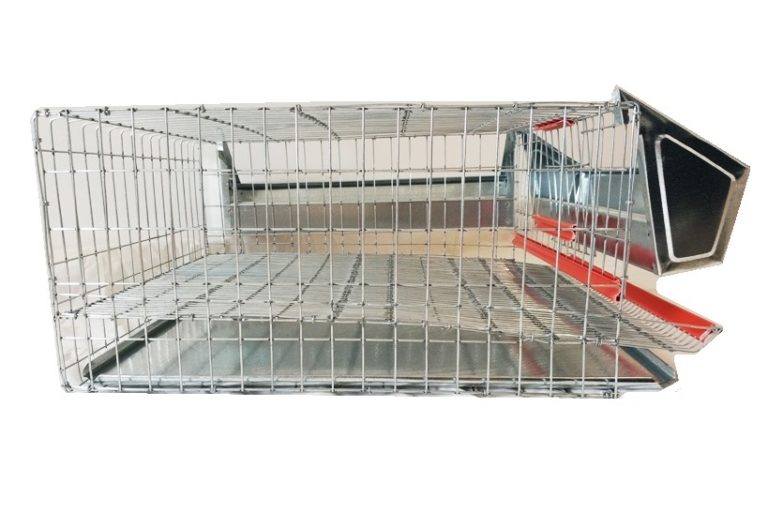 Cusca de prepelite ouatoare, 40x40x25 cm ( pentru 15 capete )