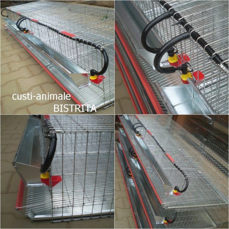 Cusca pentru prepelite ouatoare, 200x50x25 cm adapare automata