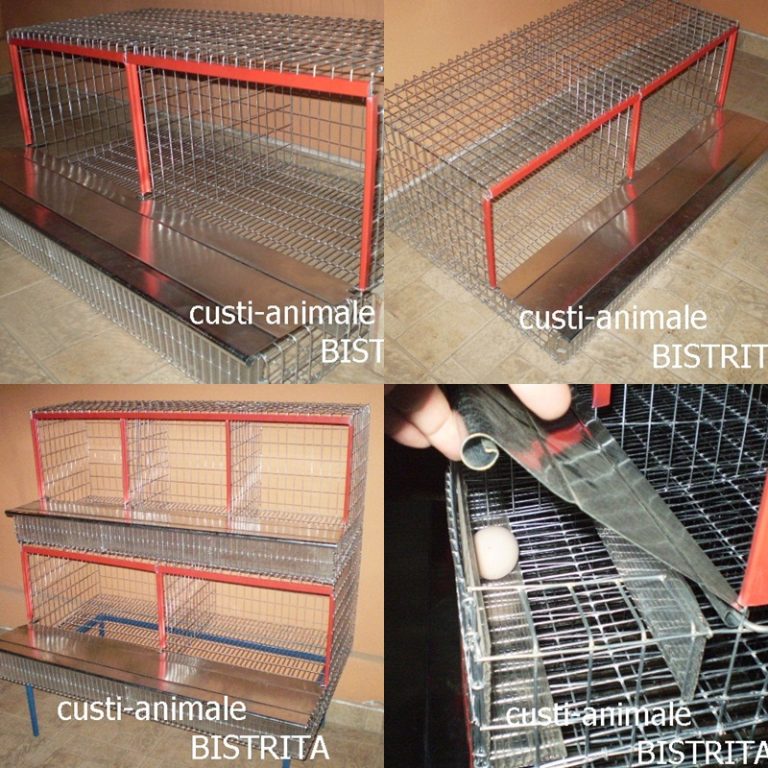 Cuibar pentru gaini ouatoare, cu trei compartimente