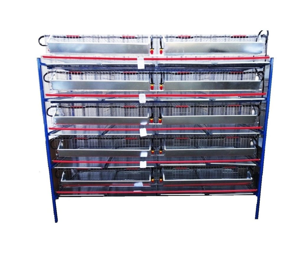 Modul cu 5 nivele custi prepelite ouatoare,200cm pentru 600 bucati